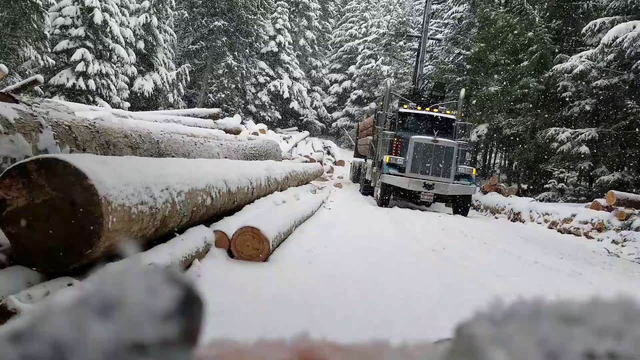 Loading logs in the snow - YouTube