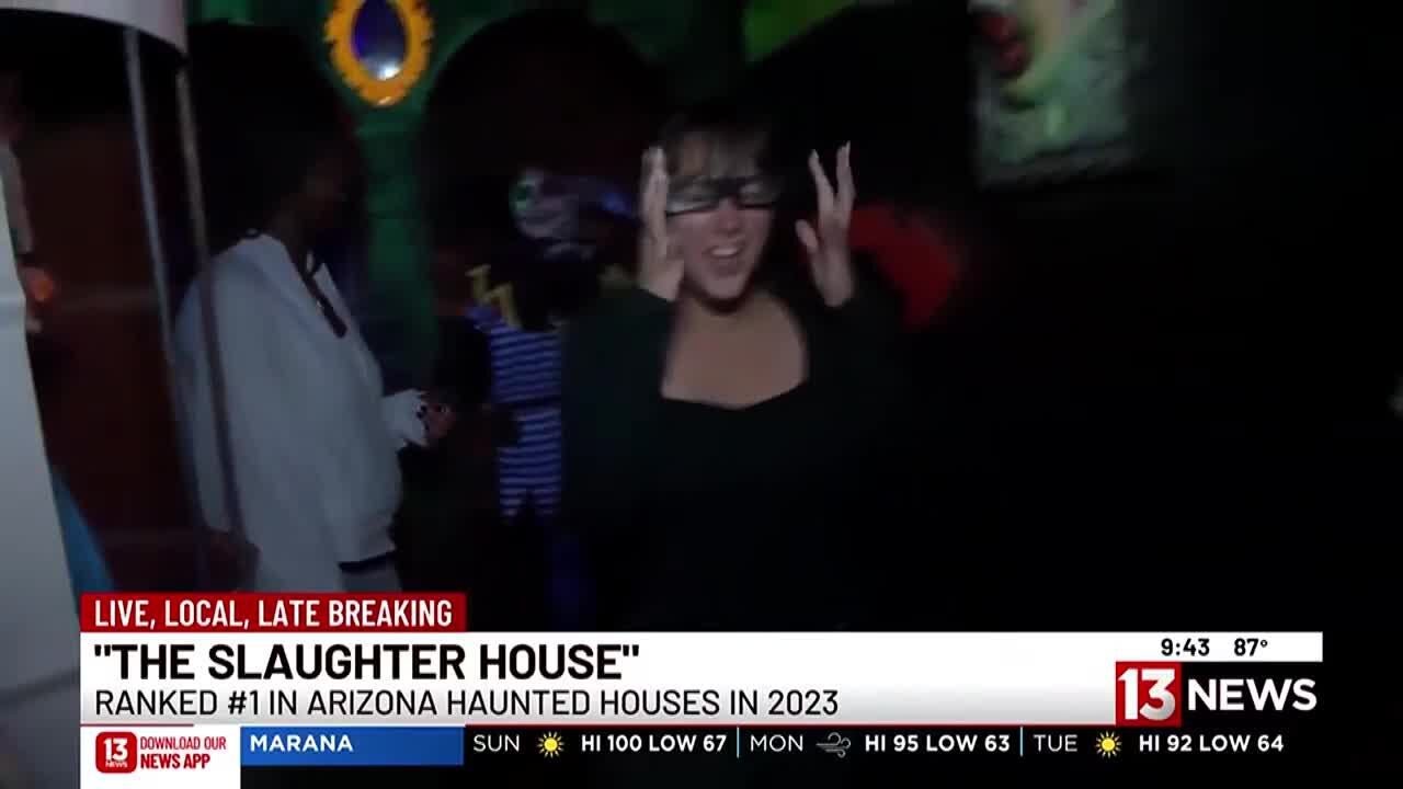 Tucson Slaughterhouse weekend crew walk-thru - YouTube