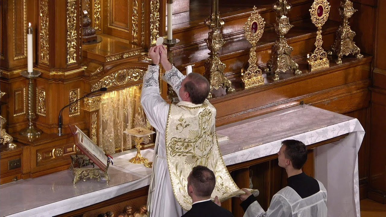 Live Stream - Sunday Mass - Presentation of the Lord - (2002 Missal ...