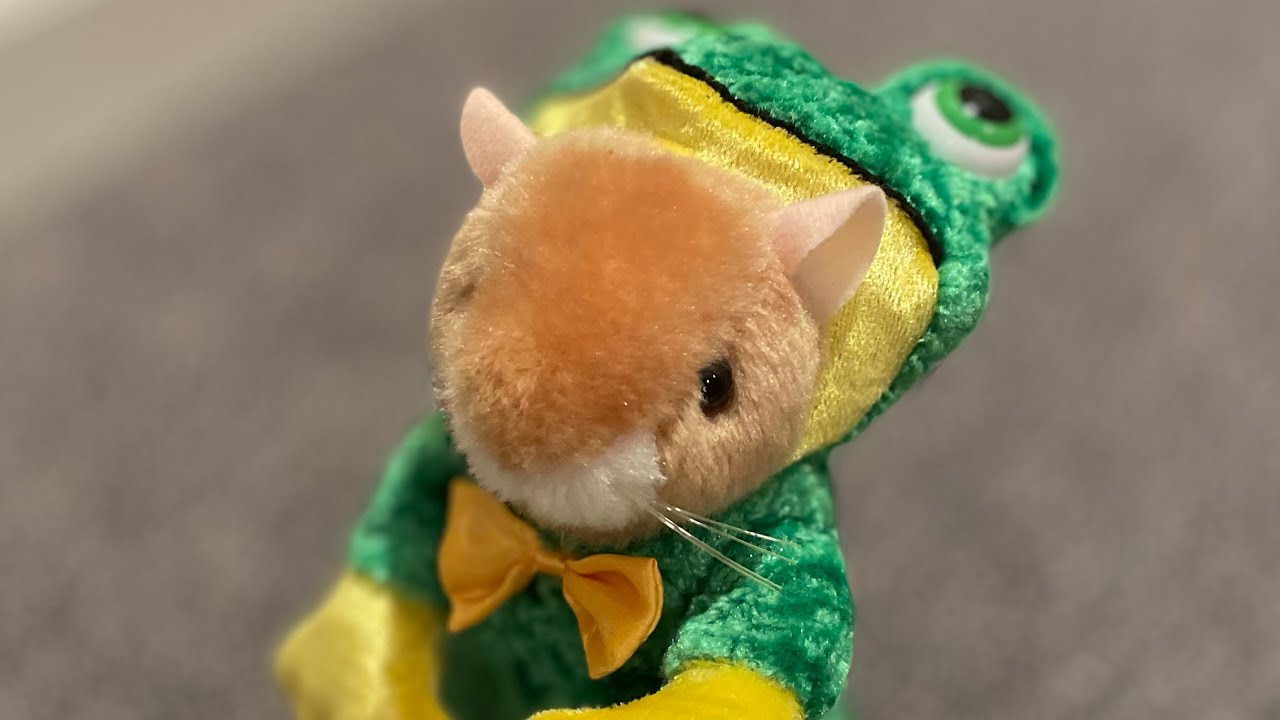 Gemmy - Dancing Hamster In Frog Suit #2 “Baby Bumble Bee” - YouTube