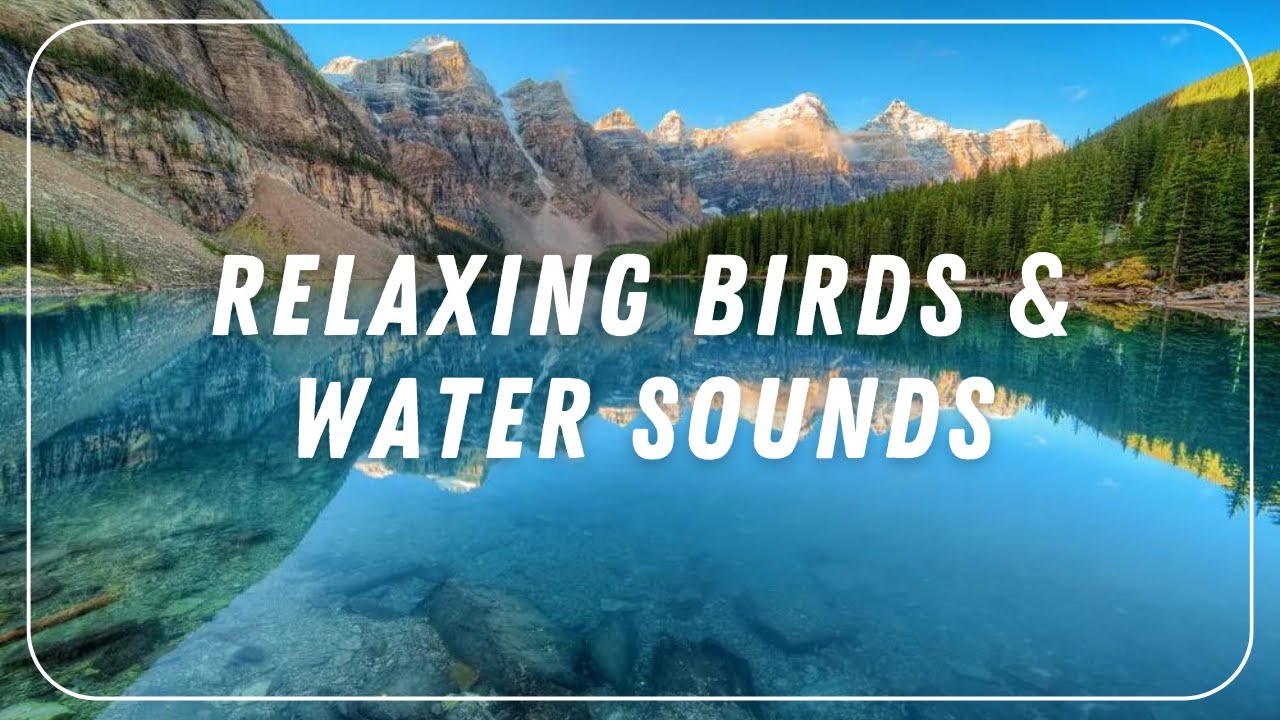 Relaxing Birds & Water Sounds | Relaxing music, Background music - YouTube