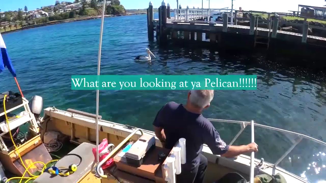 Mooring Renovation. Rebuilding a Mediterranean style Harbour Berth on ...