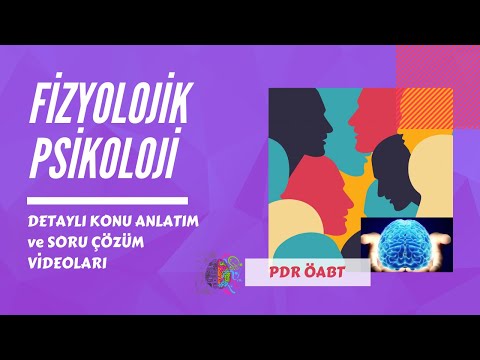1) Fizyolojik Psikoloji Dersi Detaylı Konu Anlatımı | PDR ÖABT
