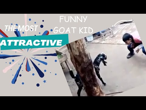 Funny goat playing | Funny goat jumping 🤣 | Funny goat jumping video 🐐😂 ...