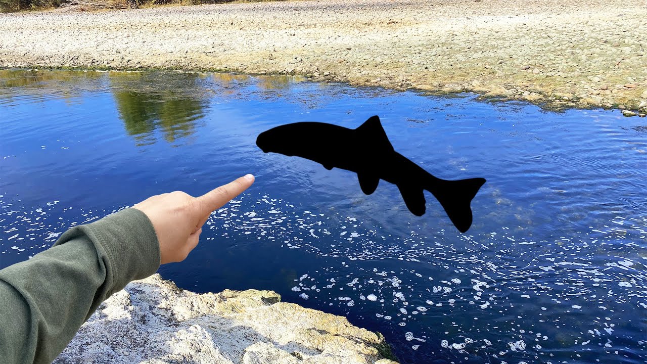 It Took Me 9 Months To Catch This Fish... (Surprising) - YouTube