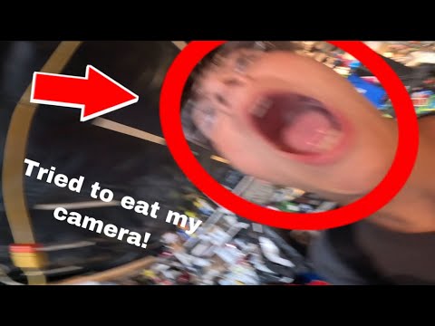 This kid tried to eat my camera and regrets it! - YouTube
