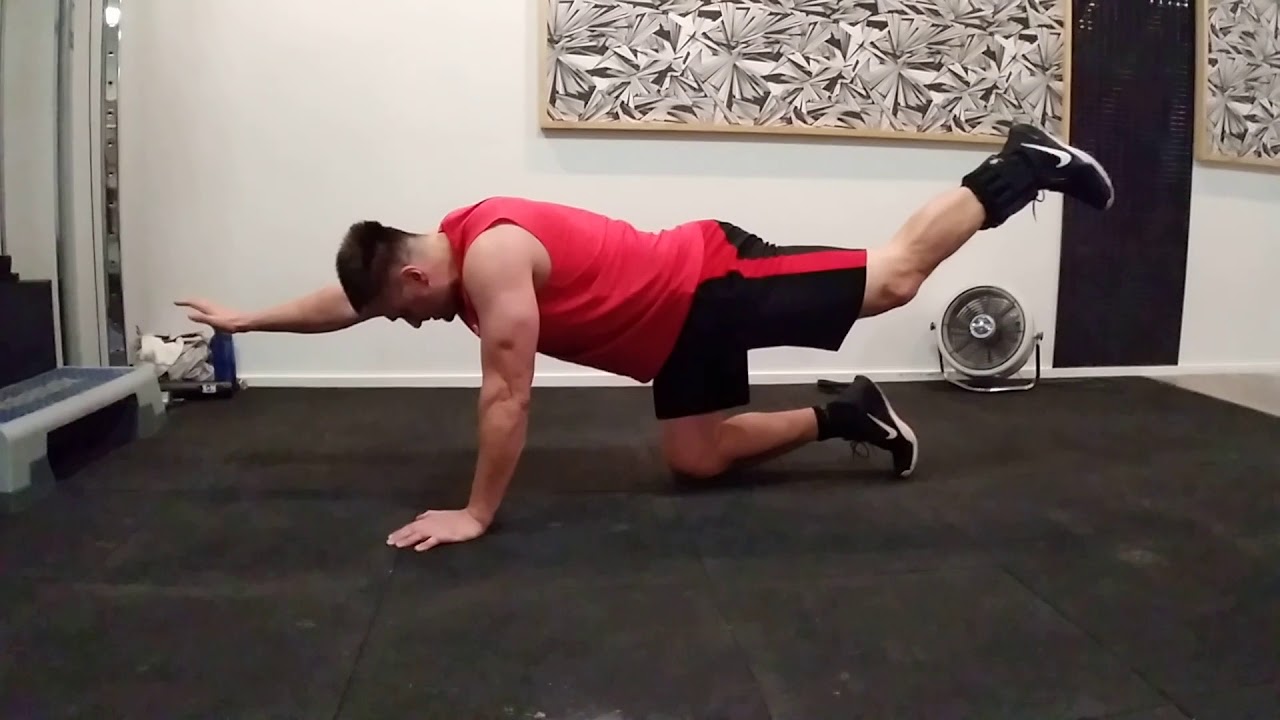 Exercises for Core and a Healthy Back - Weighted Bird-Dog - YouTube