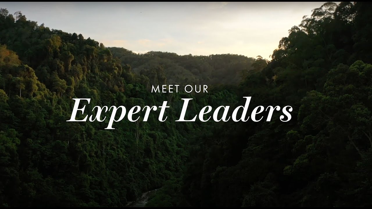 Meet Our Expert Leaders - YouTube