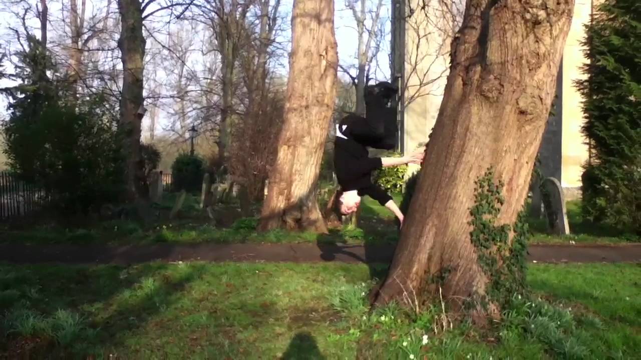 TREE spin - YouTube