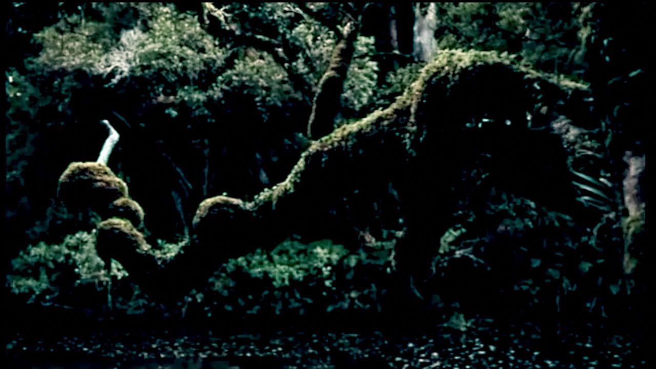 Dolorum & Einerlei - Morrois (Assisi) (Official Video) - YouTube
