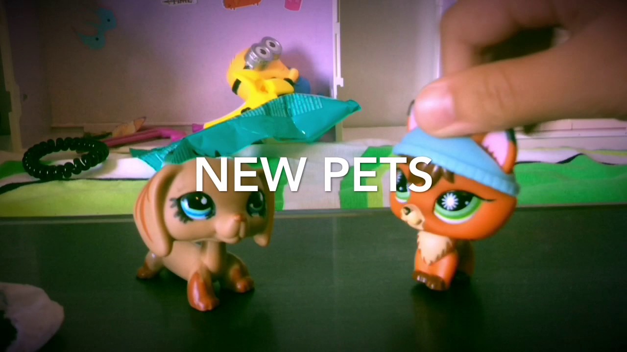 NEW Pets - YouTube