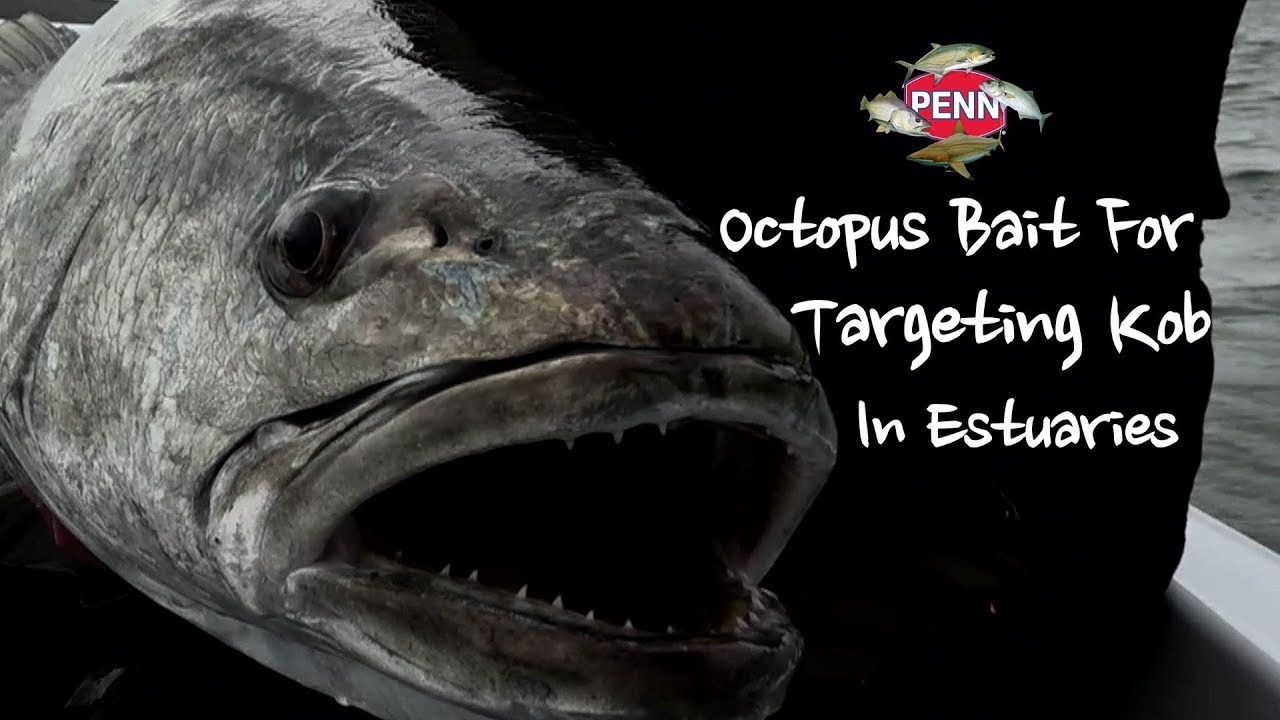 Octopus Bait For Targeting Estuary Kob - YouTube