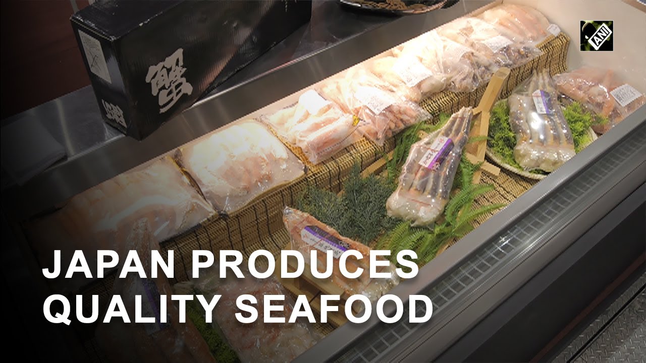 Japan produces quality seafood for global market - YouTube