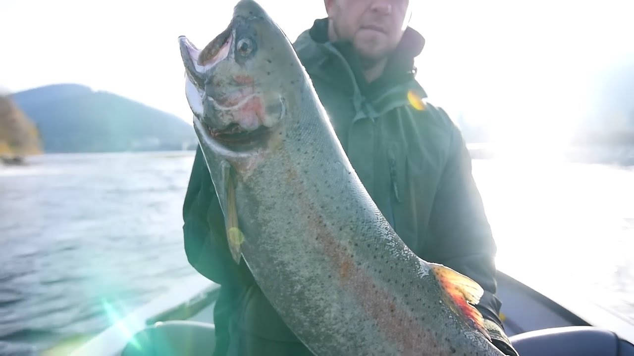 STEELHEAD CLEARWATER. BACKTROLLING MAG LIPS SETUP - YouTube