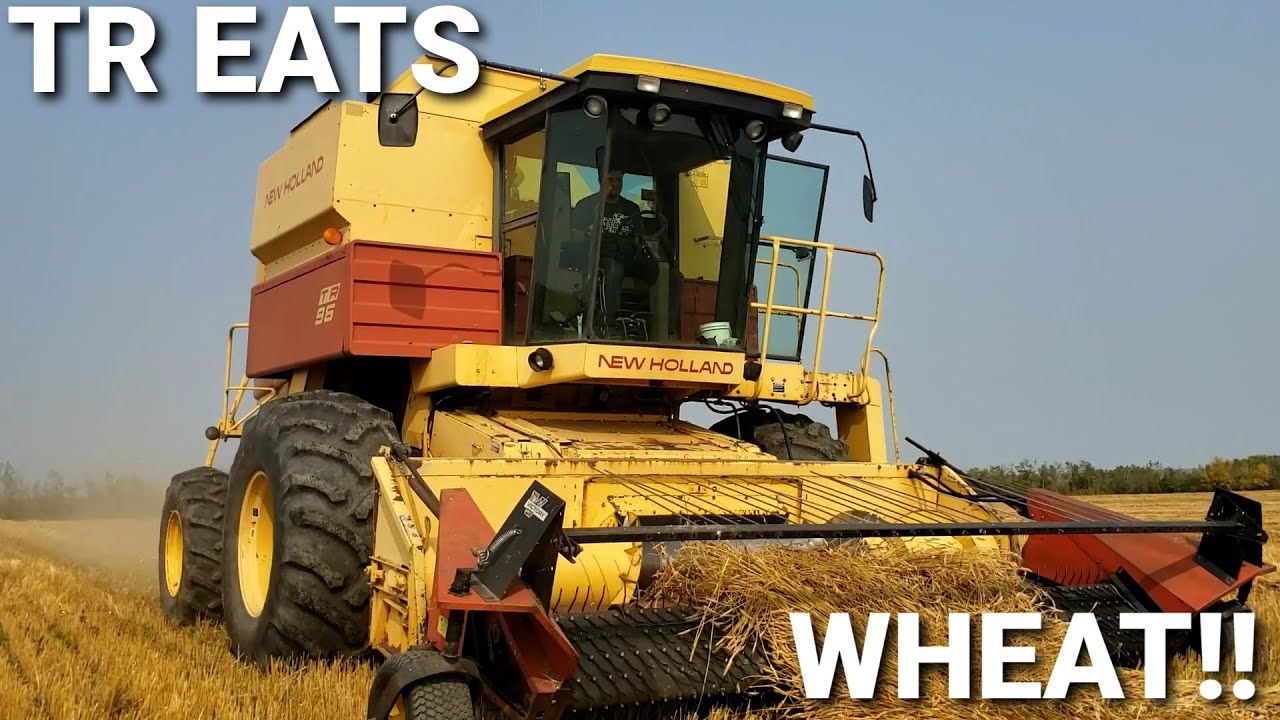 Gearing Up For Harvest!!! Combining Wheat! - YouTube