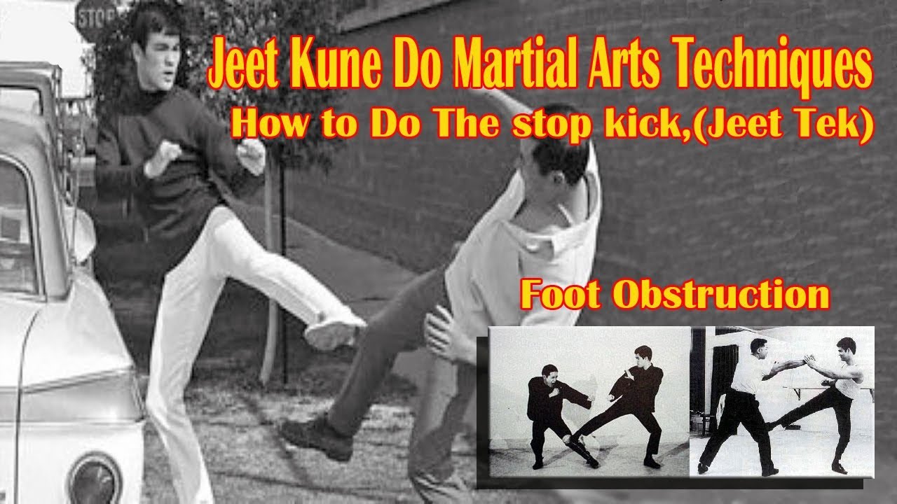 Jeet Kune Do Martial Arts Techniques How to Do The stop kick,(Jeet Tek ...
