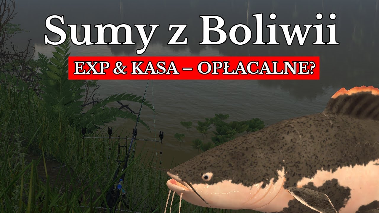 🎣 Fishing Planet – Testujemy Sumy w Boliwii! 🏆 EXP, Kasa i Opłacalność ...