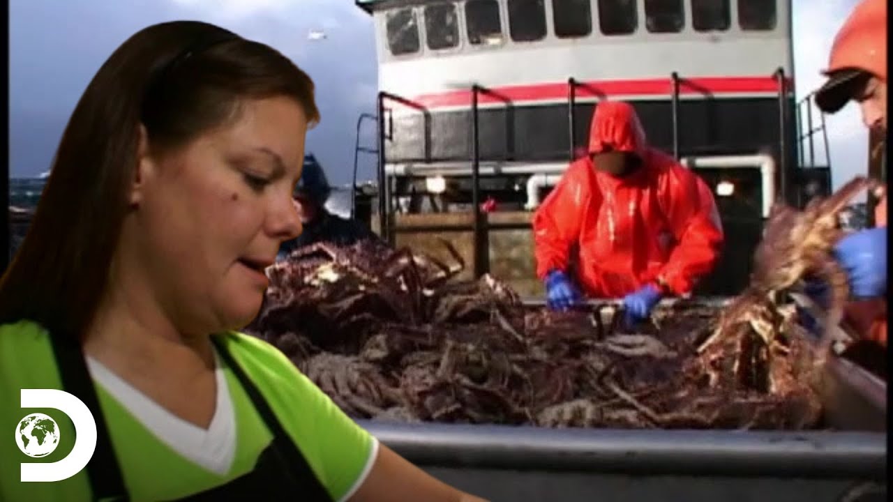 Él se enfurece por los nuevos tripulantes novatos | Pesca Mortal ...