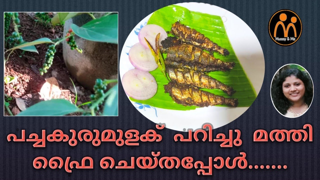 പച്ച കുരുമുളക് | മത്തി ഫ്രൈ | mathi fry | Malayalam | #tasty | #simple ...