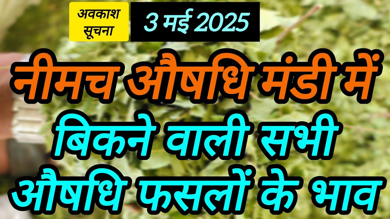नीमच मंडी में क्या–क्या बिकता है? 🤯🤯 ।। नीमच औषधि मंडी भाव ।। Neemuch ...