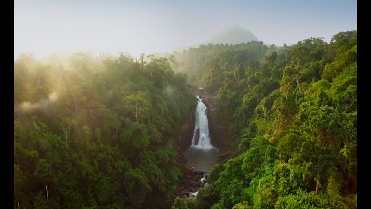 C.K. Martin - Gate of Wonder - YouTube