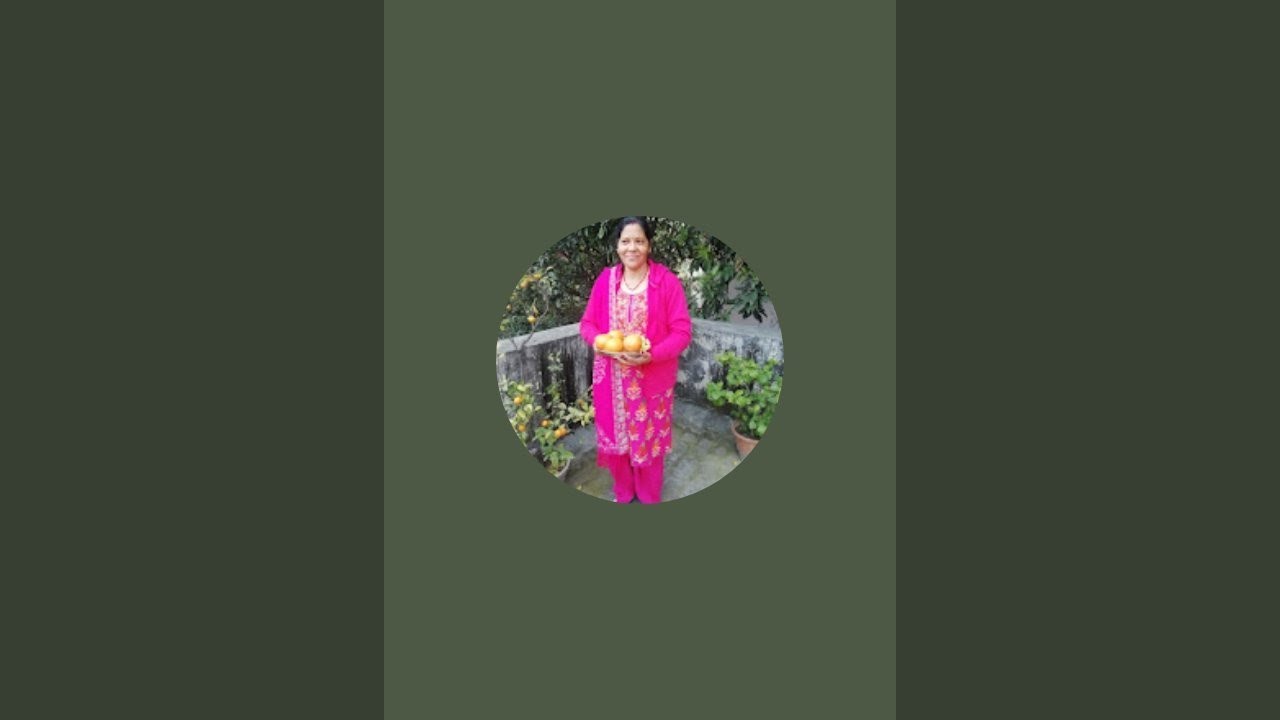 Preeti Aswal vlogs is live - YouTube