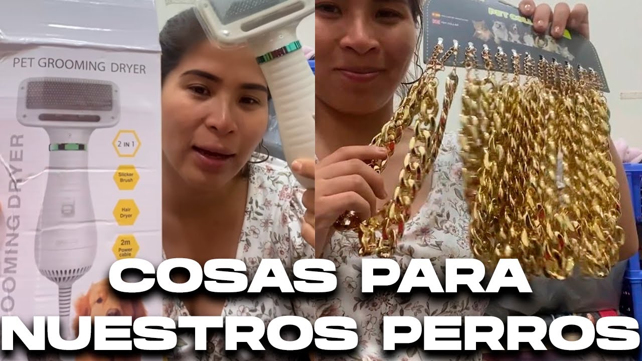 Compramos cosas bonitas para nuestros perritos - YouTube