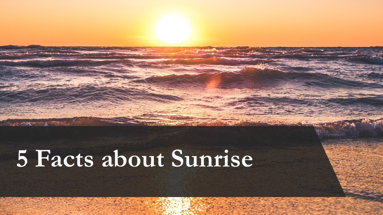 5 Facts about Sunrise | 5 Facts Hub - YouTube