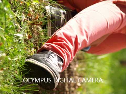 sus bu sehir sana hasret yar dilek(KURZ)