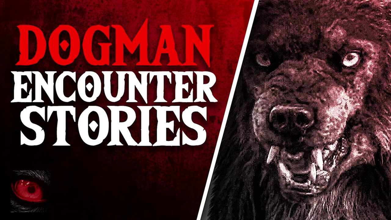 LEGEND OF THE ROUGAROU - 3 SCARY ENCOUNTERS WITH DOGMAN - What Lurks ...