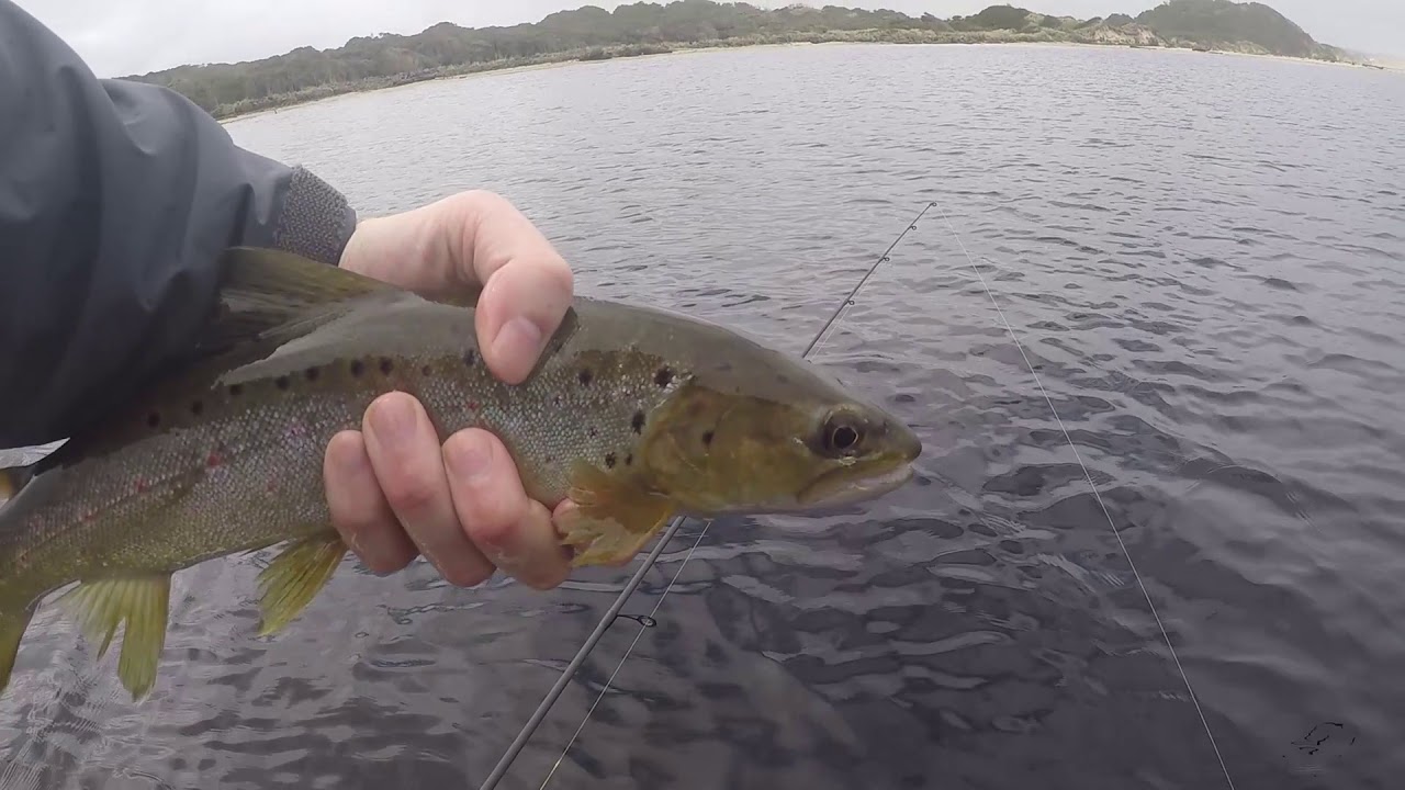 Beach Fishing For Trout. Only On The Wild West. - YouTube