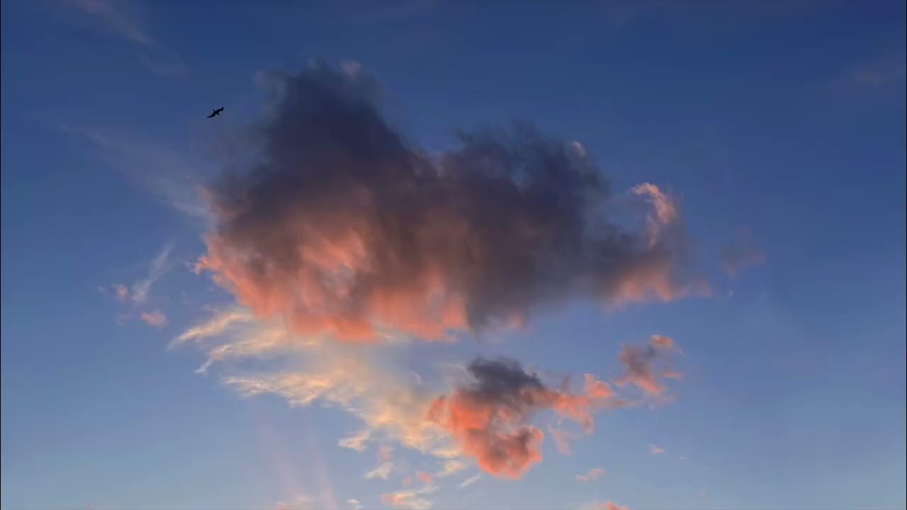 from "Sabbath Poems: 1994" by Wendell Berry (read by Maria Popova ...