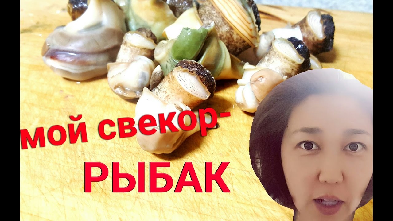 МОЙ СВЕКОР РЫБАК Едим моллюсков Youtube