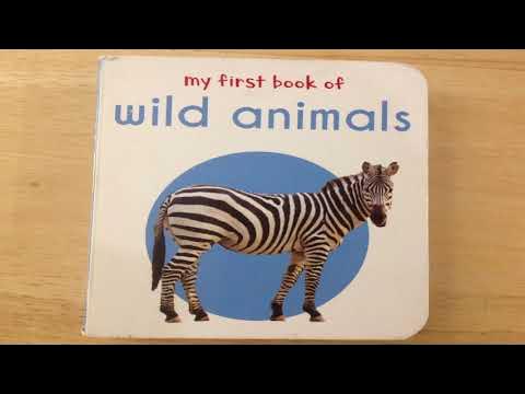 My First Book of Wild Animals Read Aloud - YouTube