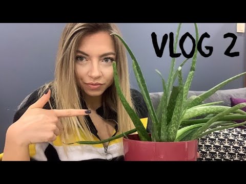 VLOG 2 // ALOE VERA’ dan KREM YAPTIM !