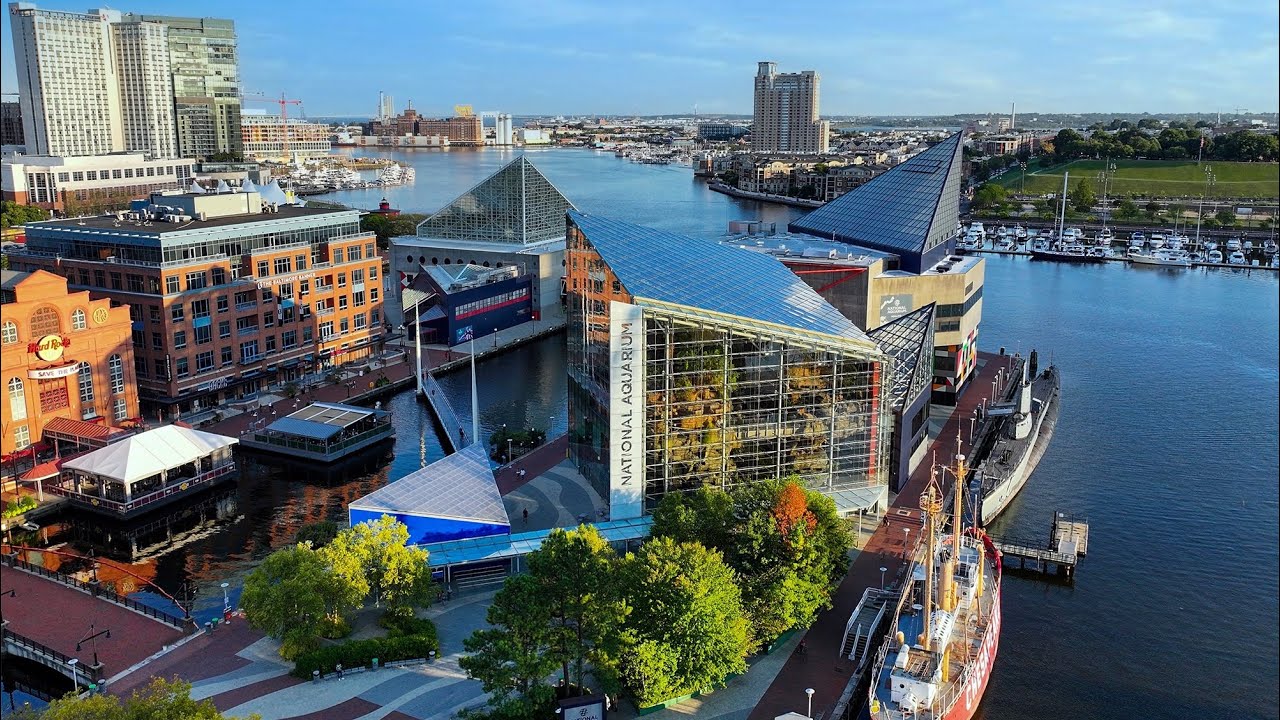 National Aquarium Inner Harbor Baltimore, Maryland - YouTube