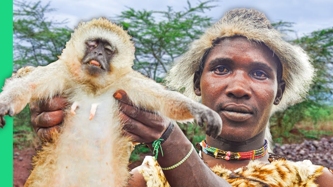 Monkey eating Tribe in Africa: Hadzabe Tribe Visit inTanzania - YouTube