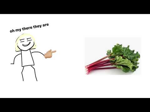 Zara Larsson loves rhubarbs