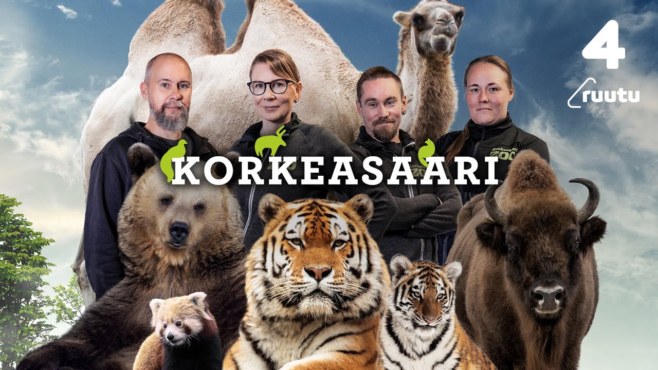 Korkeasaari | TV-sarjan 2. tuotantokausi Nelosella 14.11.2023 alkaen! - YouTube