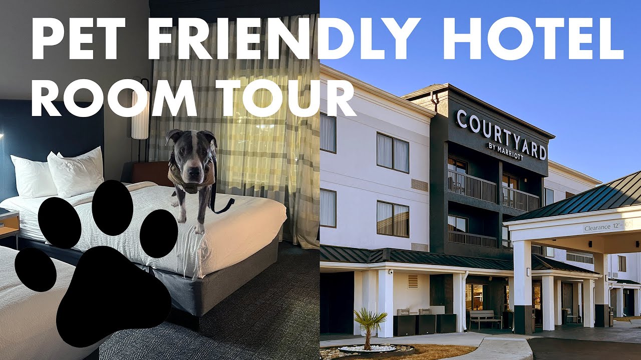 Pet Friendly Hotel Tour: Courtyard by Marriott Florence, South Carolina ...