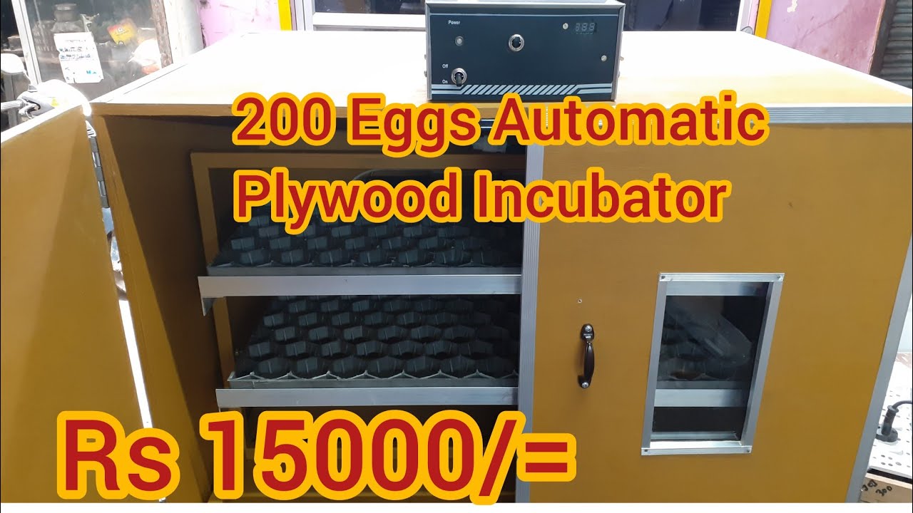 200 EGG AUTOMATIC INCUBATOR VERY LOW COST ONLY RS15000/= - YouTube
