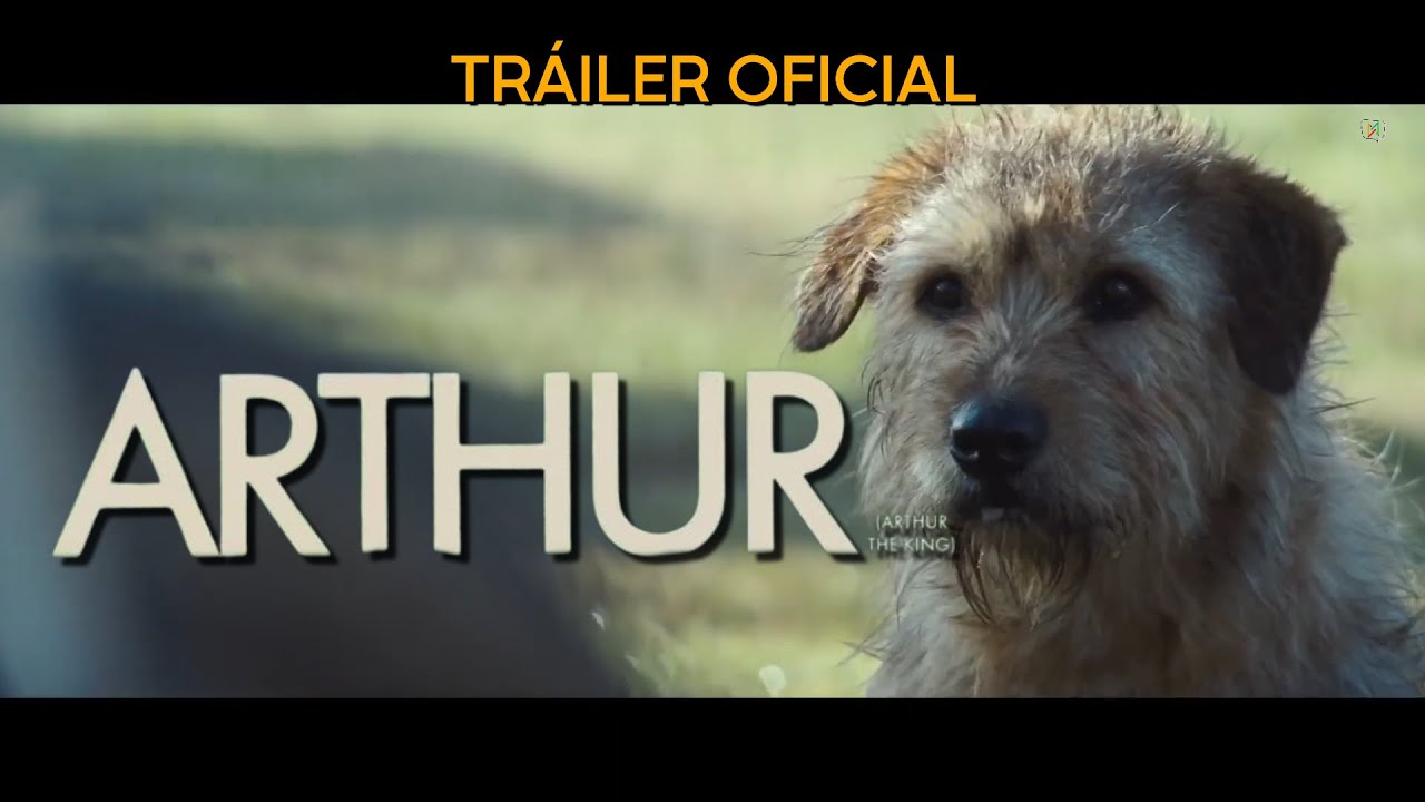 Arthur (2024) Tráiler Oficial - YouTube