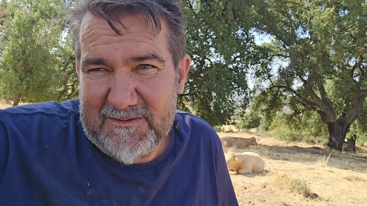 Os cuento un poco lo que me pasa, yo también os echo de menos. - YouTube