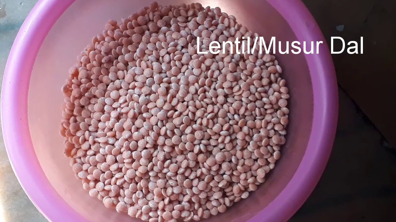 😊Lau Dal recipe Easy simple bengali - YouTube