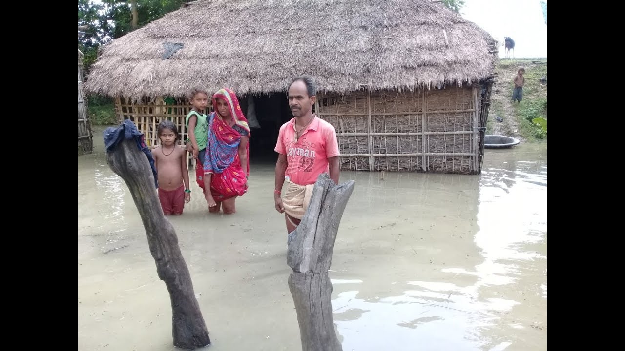 सप्तरीमा बाढीको कहर, Saptari's Peoples hatred by continues flood - YouTube