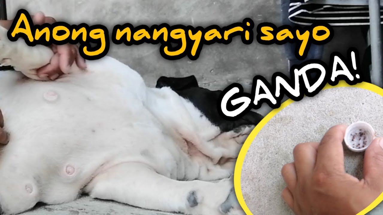 Dami naman nito ganda! 😔 - YouTube