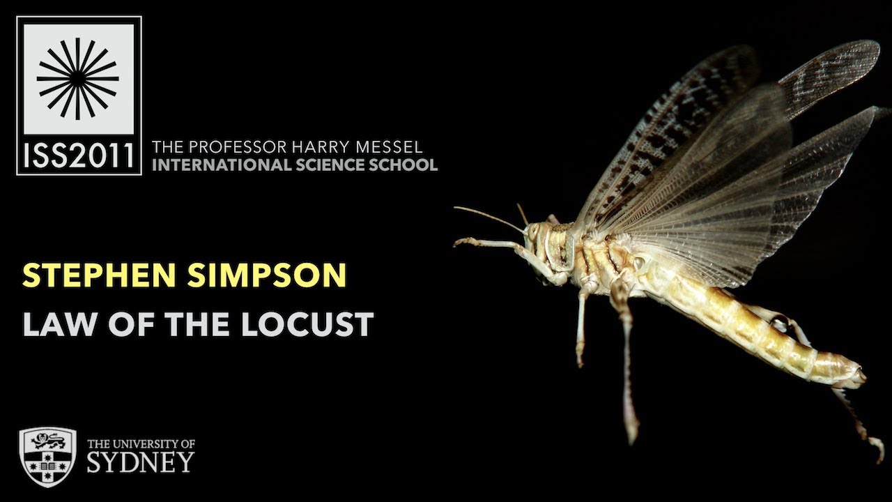 Law of the Locust: a Tale of Cannibals, Ageing & Human Obesity — Prof ...