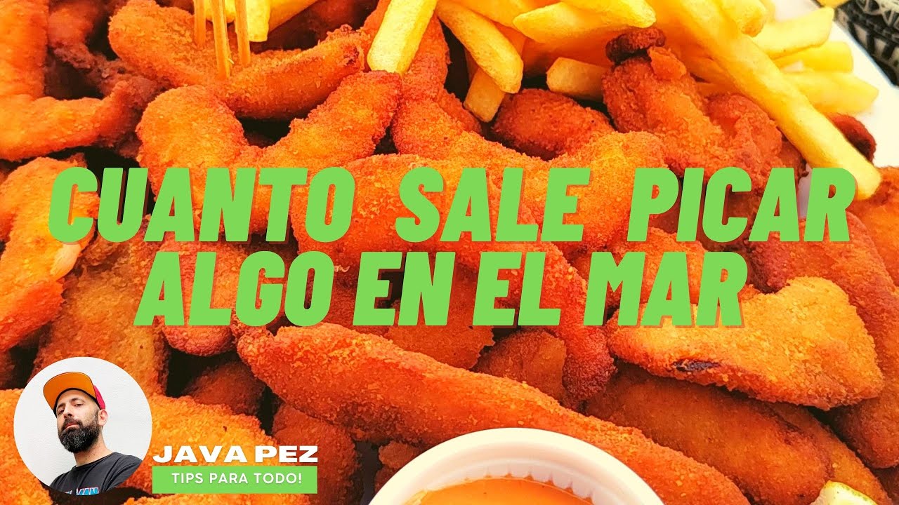 ¿Cuánto sale picar algo en el mar de Brasil? - YouTube