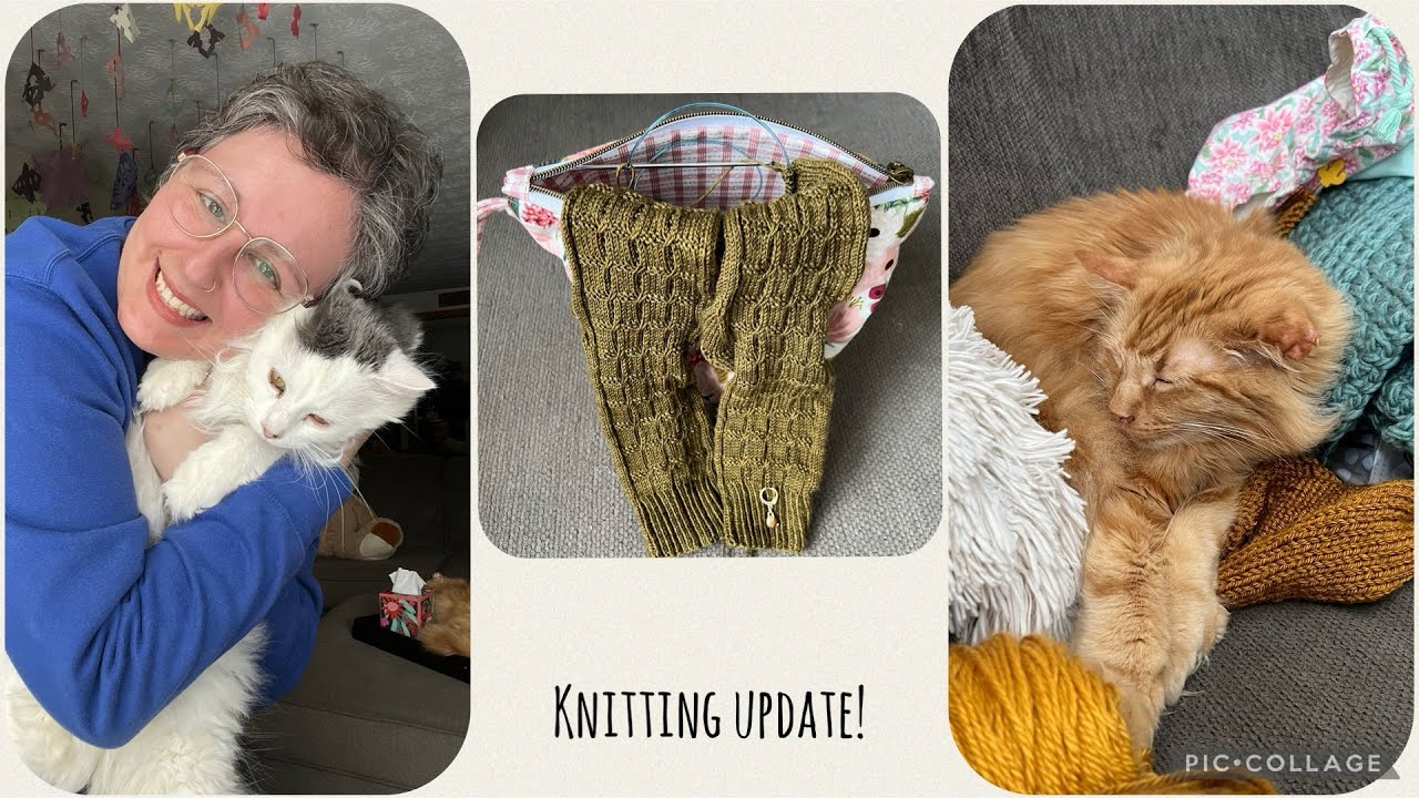 Knitcast 42: Knitting Update! - YouTube