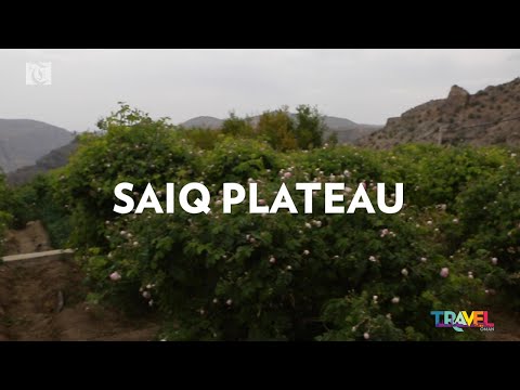 Saiq Plateau